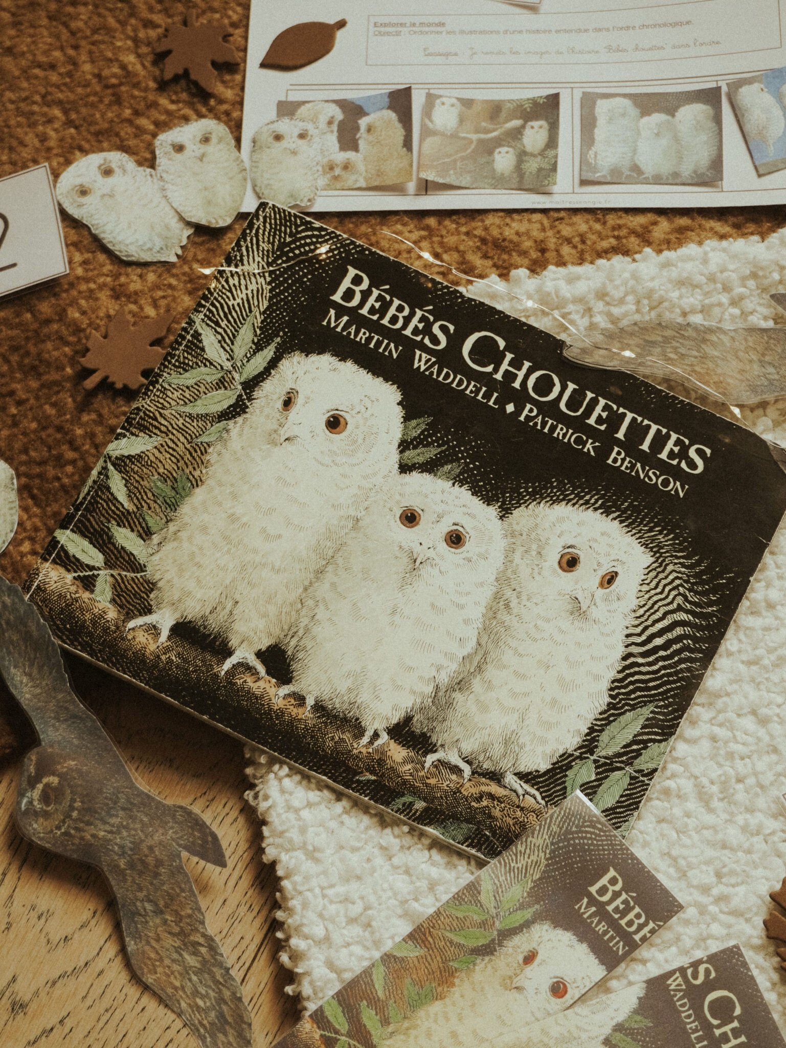 BÉBÉS CHOUETTES - Maîtresse Angie